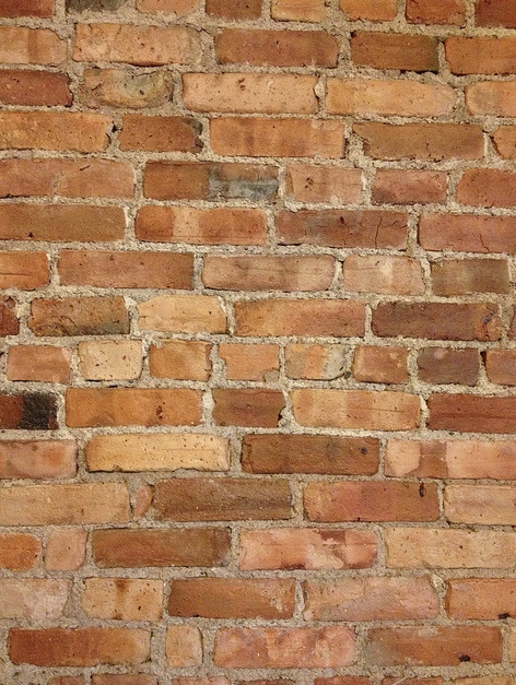 The Reserve - Max Fish